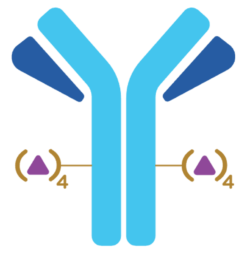 Overview - Mersana Therapeutics
